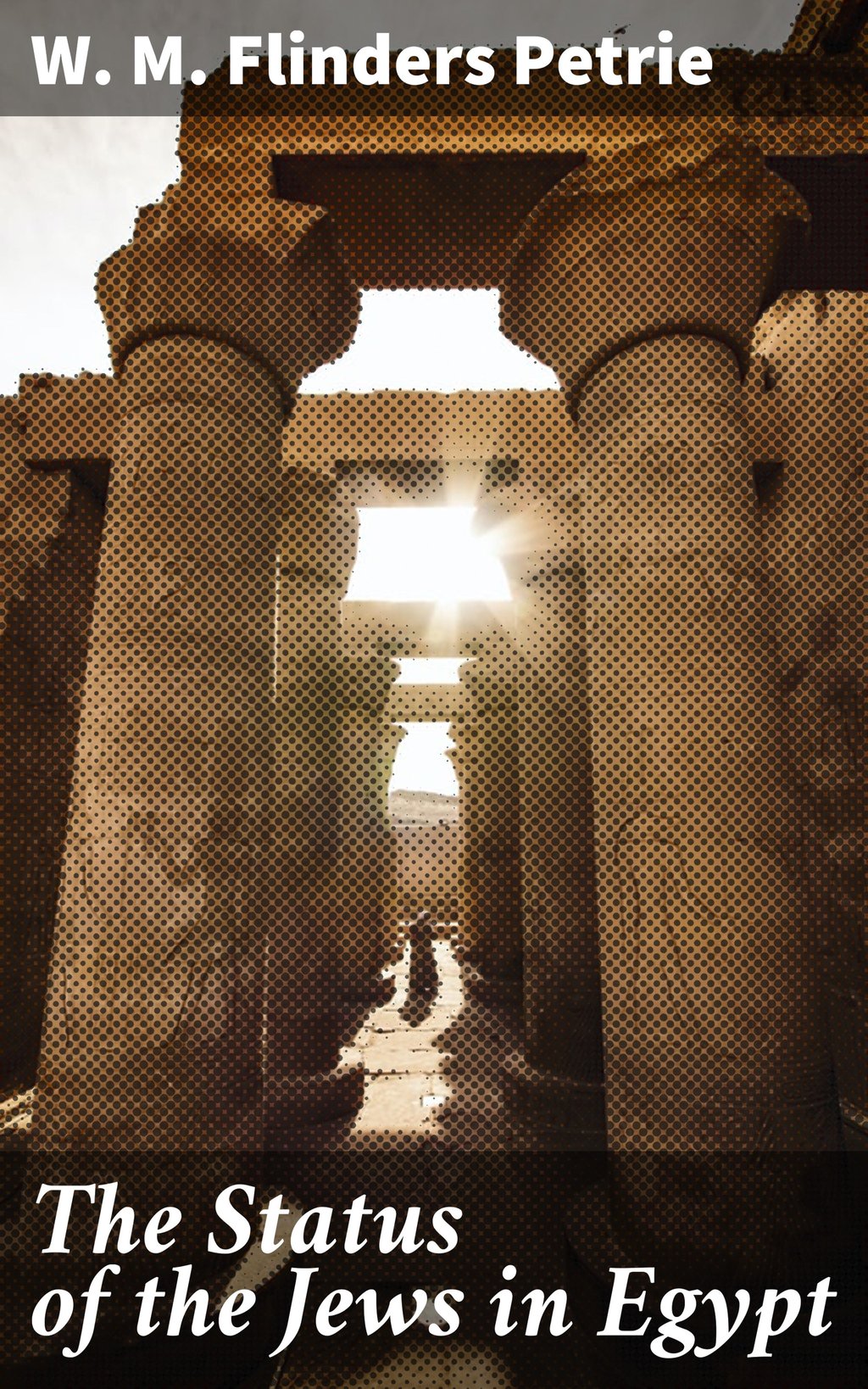 The Status of the Jews in Egypt - The Fifth Arthur Davis Memorial ...