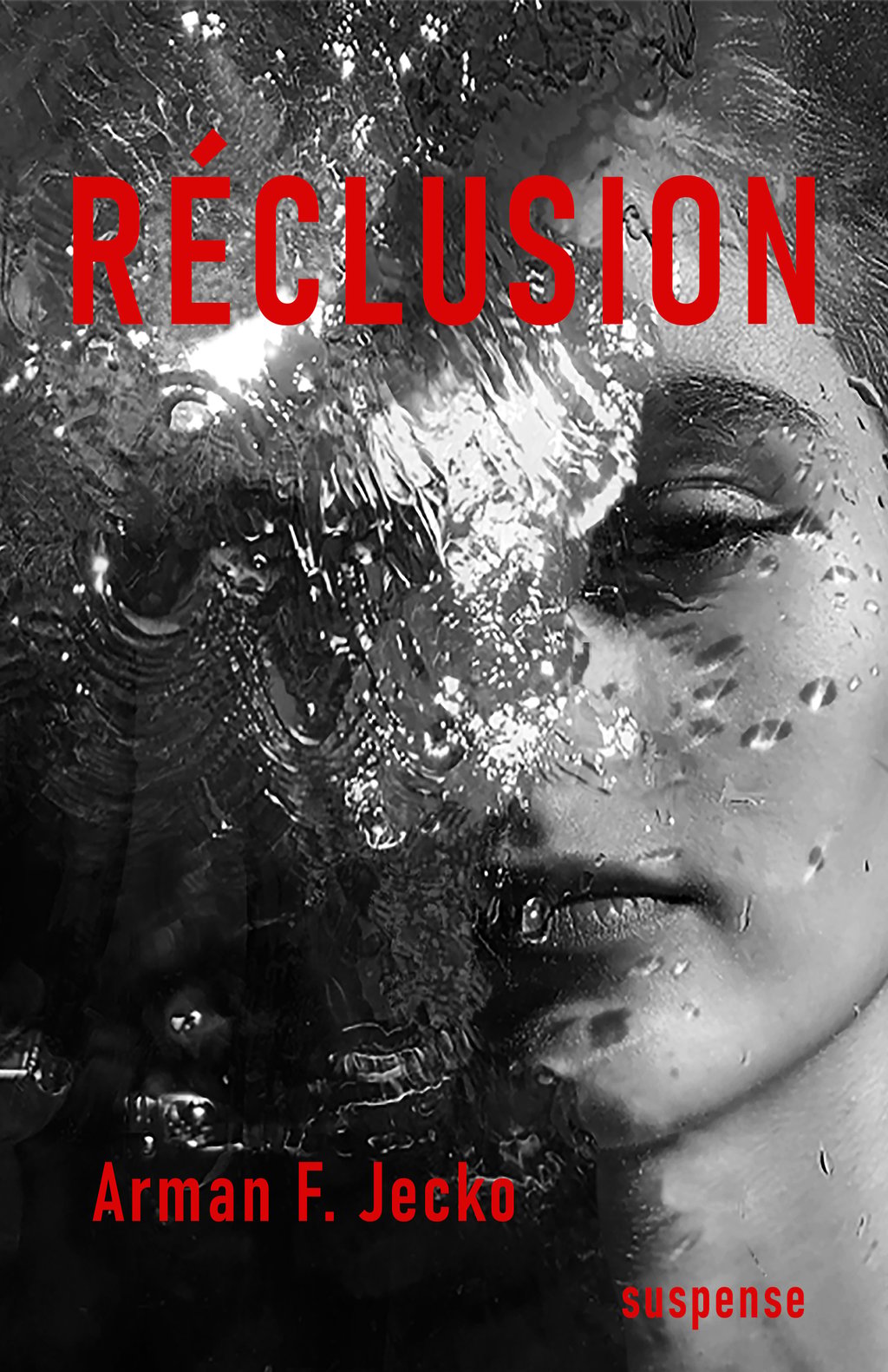 Réclusion : Arman F. Jecko - 9791026271178 - Ebook littérature | Cultura