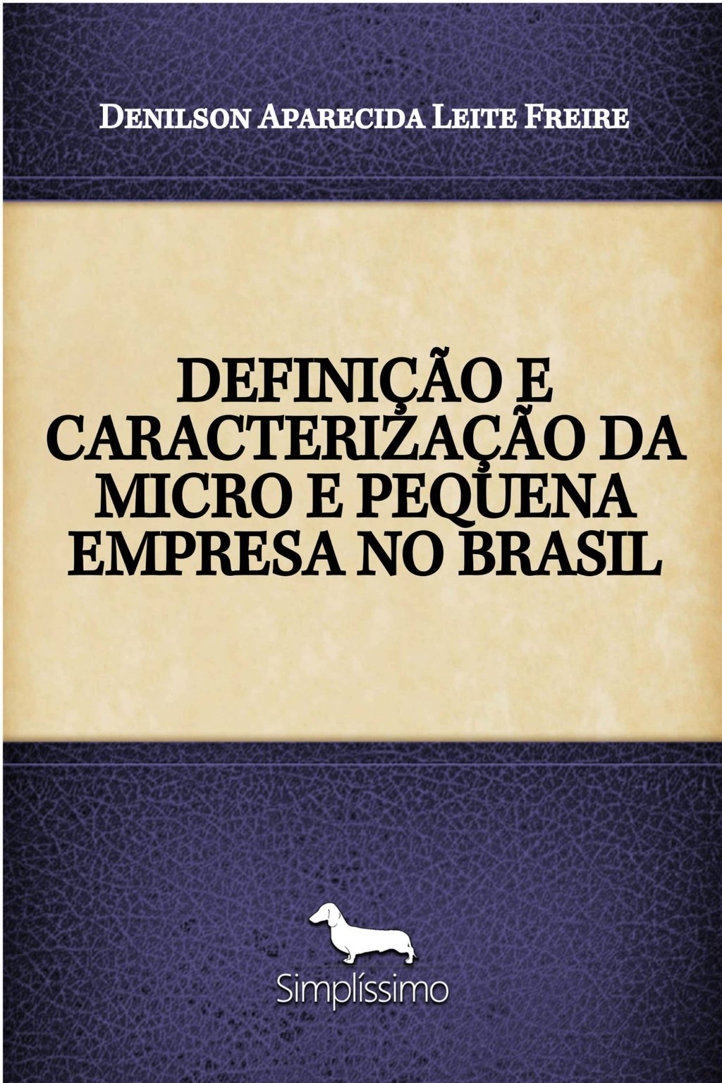 DEFINIÇÃO E CARACTERIZAÇÃO DA MICRO E PEQUENA EMPRESA NO BRASIL ...