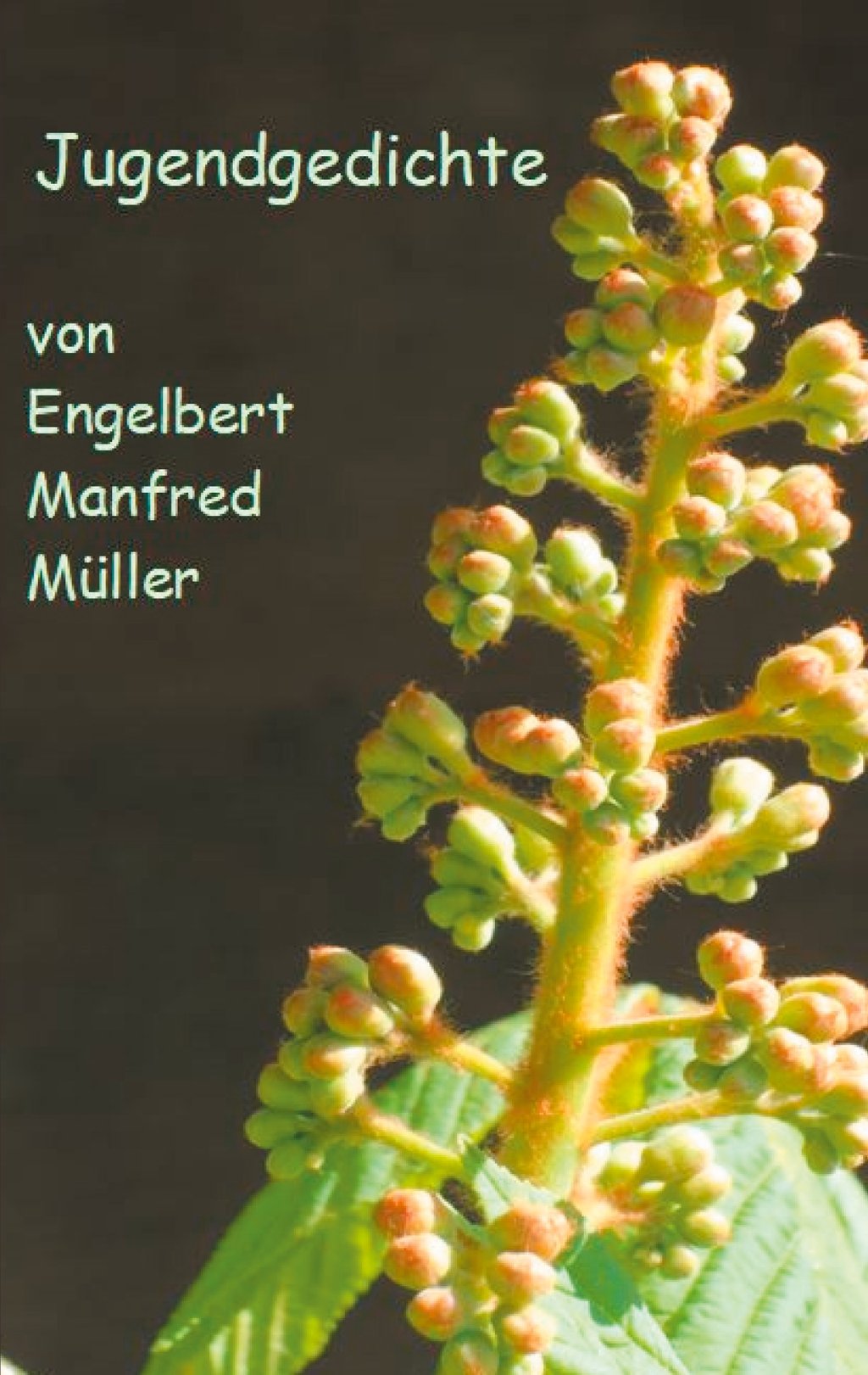 Jugendgedichte - 9783752694413 - Ebook Poésie - Ebook poésie & théâtre ...