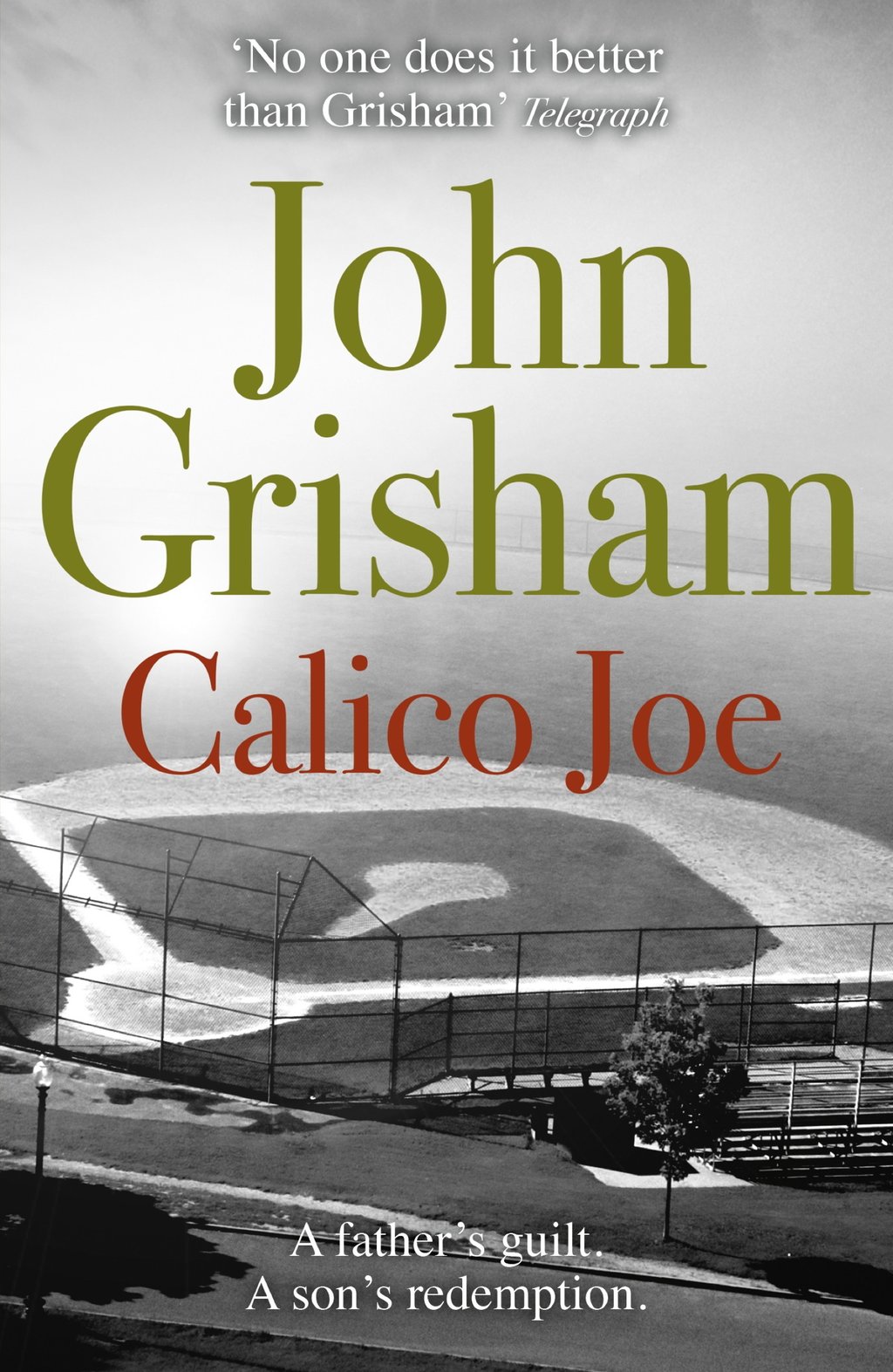 Calico Joe - An unforgettable novel about childhood, family, conflict ...