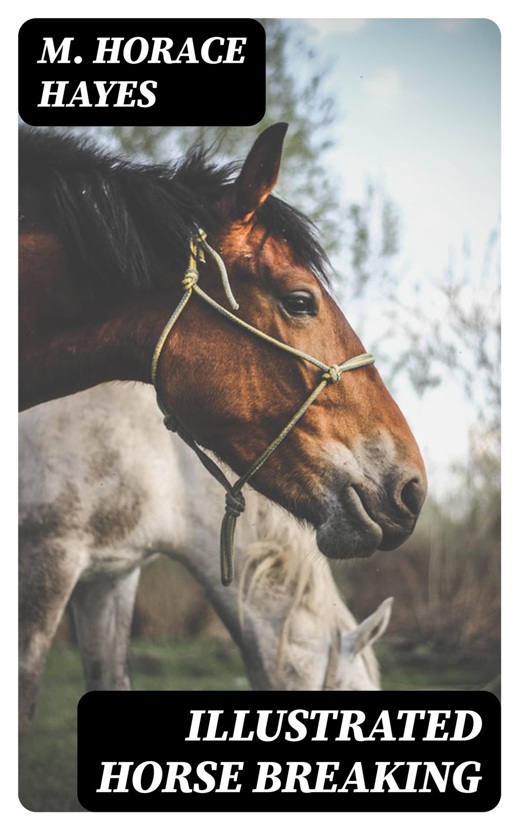 Illustrated Horse Breaking - 8596547144311 | Cultura