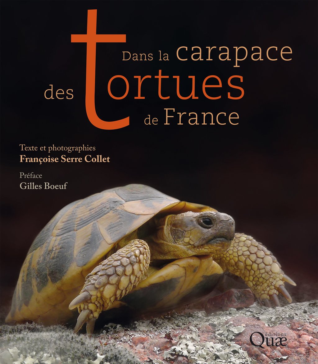 Dans la carapace des tortues de France : Françoise Serre-Collet ...