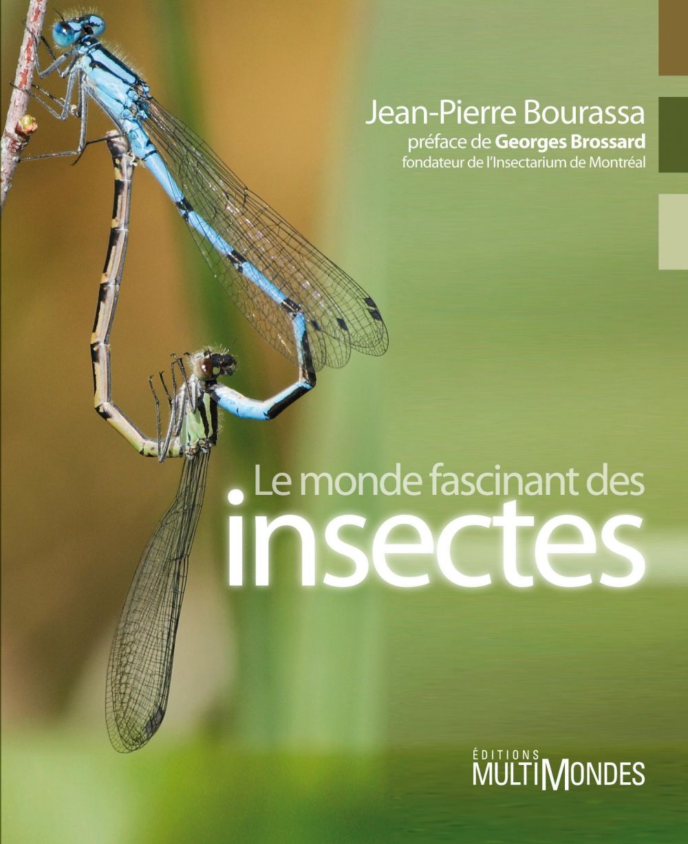 Le monde fascinant des insectes : Jean-Pierre Bourassa - 9782895444343 ...