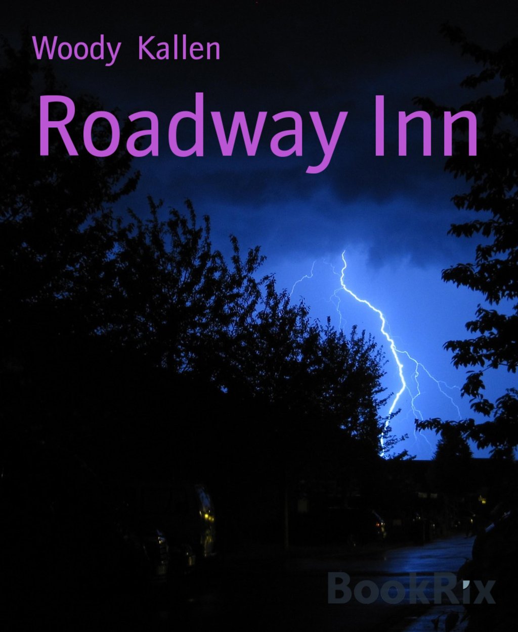Roadway Inn - 9783743803824 | Cultura