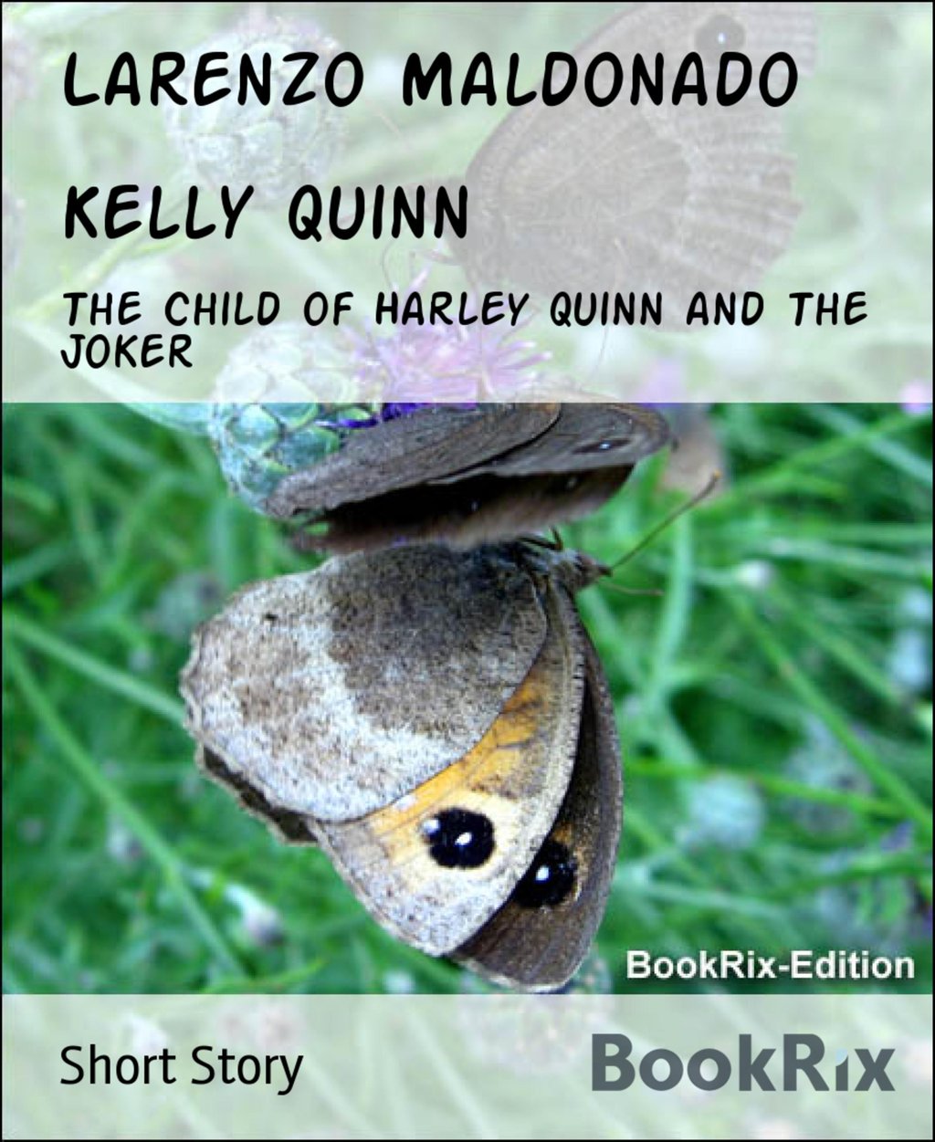 Kelly Quinn - The Child of Harley Quinn and The Joker - 9783743842212 ...
