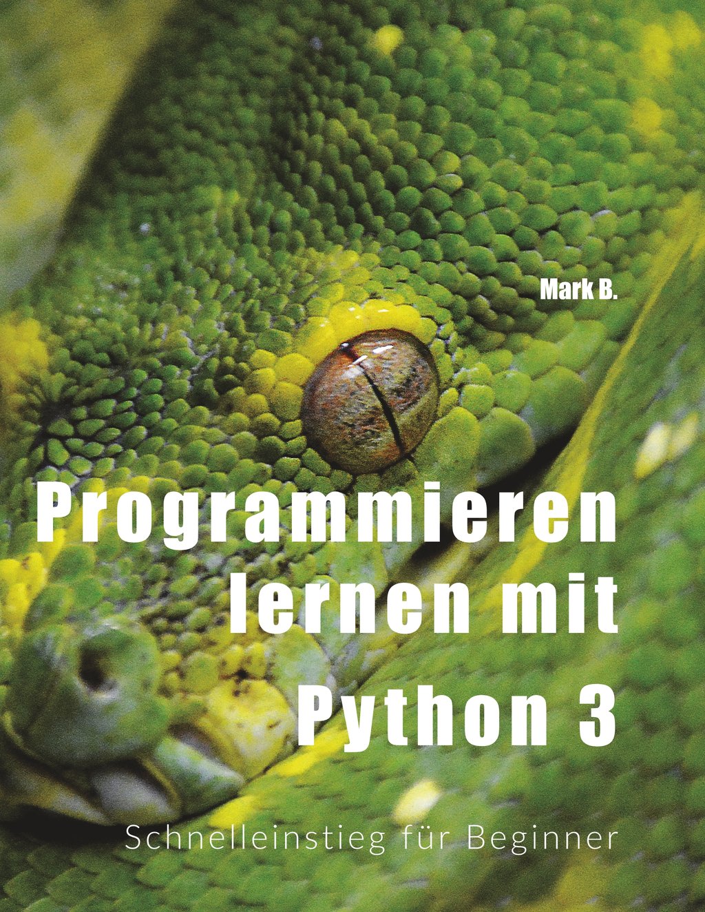 Programmieren lernen mit Python 3 - Schnelleinstieg für Beginner ...