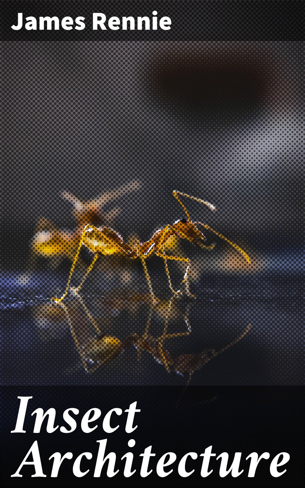 Insect Architecture - 4057664635259 | Cultura