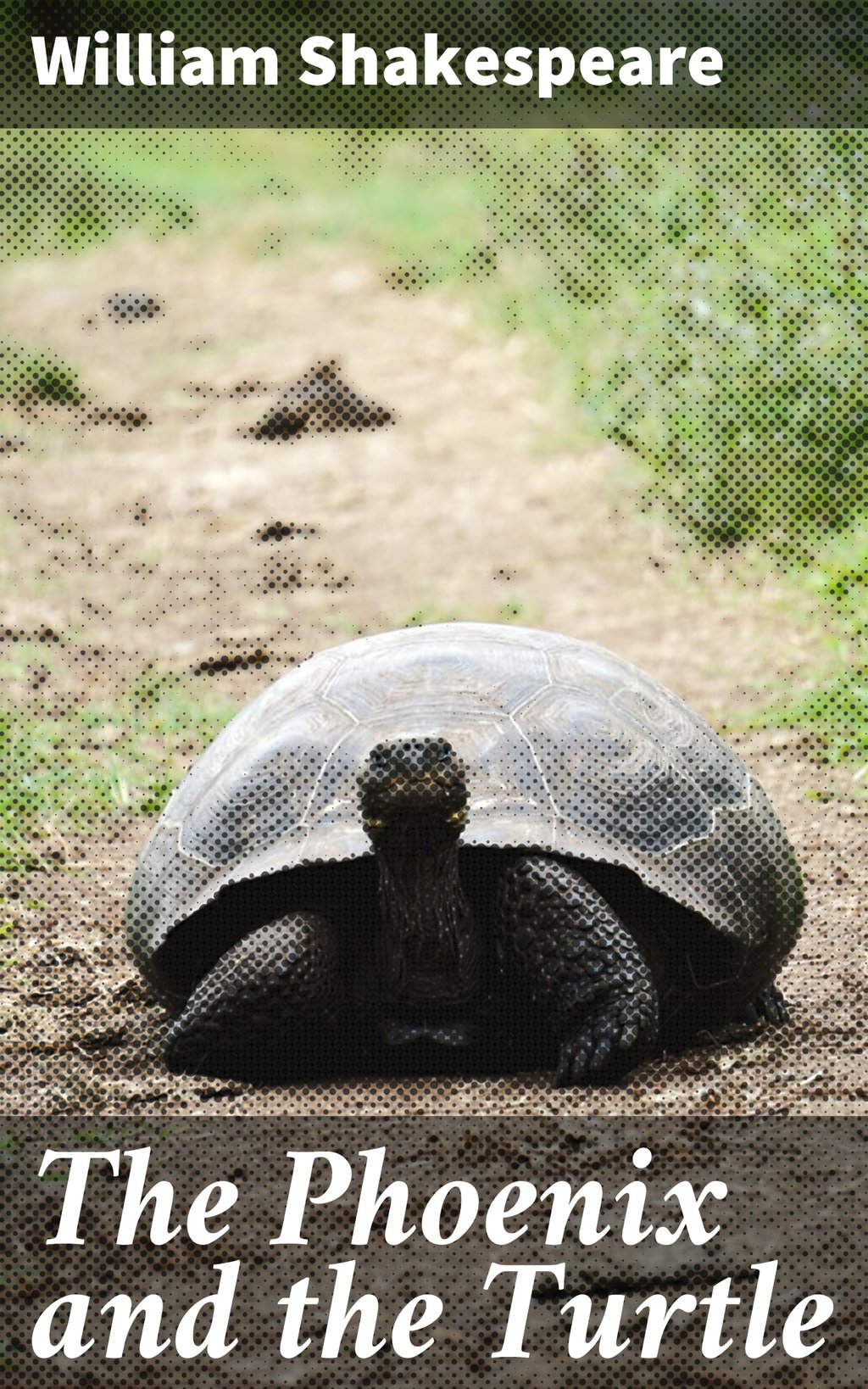 The Phoenix and the Turtle - 4064066107673 | Cultura