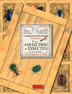 Petite collection d'insectes de nos régions : Collectif - 2035838169 ...