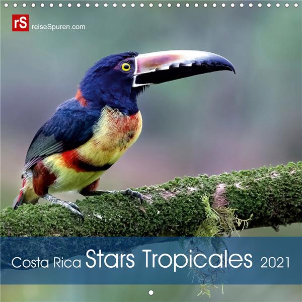 Costa rica stars tropicales (calendrier mural 2021 300 * 300 mm square ...