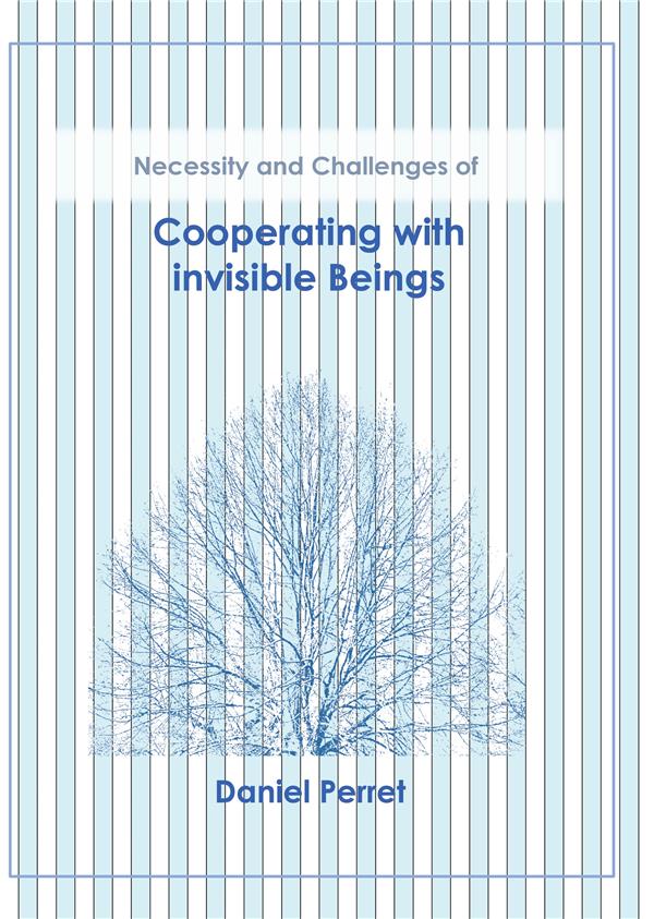 Cooperating with invisible beings - necessity and challenges ...