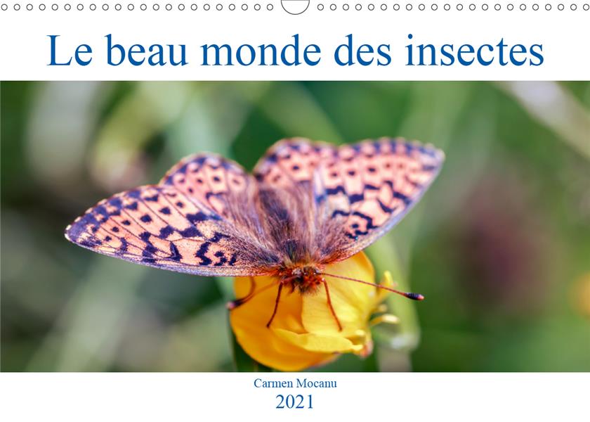 Le beau monde des insectes (calendrier mural 2021 din a3 horizontal ...