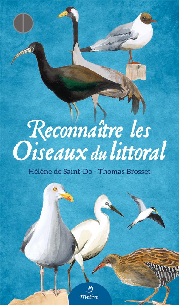 Reconnaître les oiseaux du littoral : Thomas Brosset,Audrey Zubanovic ...