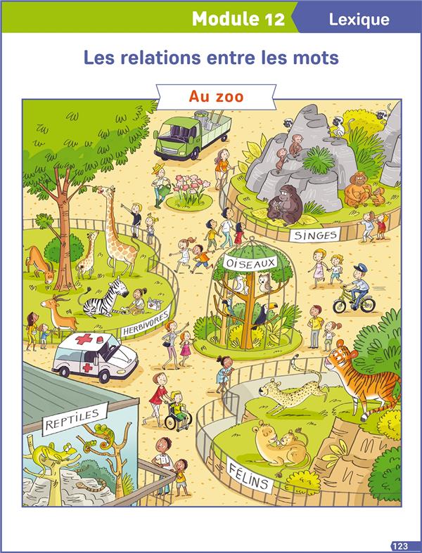 Français explicite : les relations entre les mots - au zoo - module 12 ...