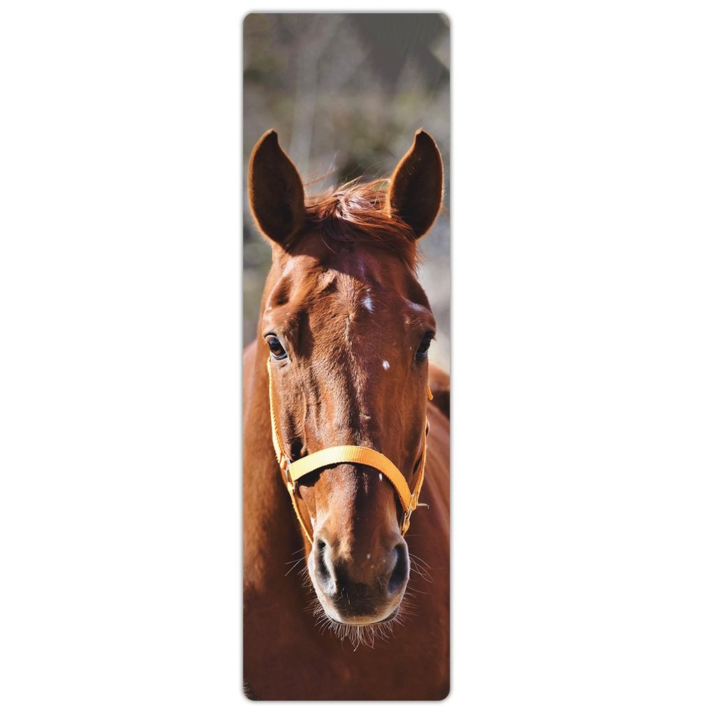Marque-pages - Cheval | Cultura
