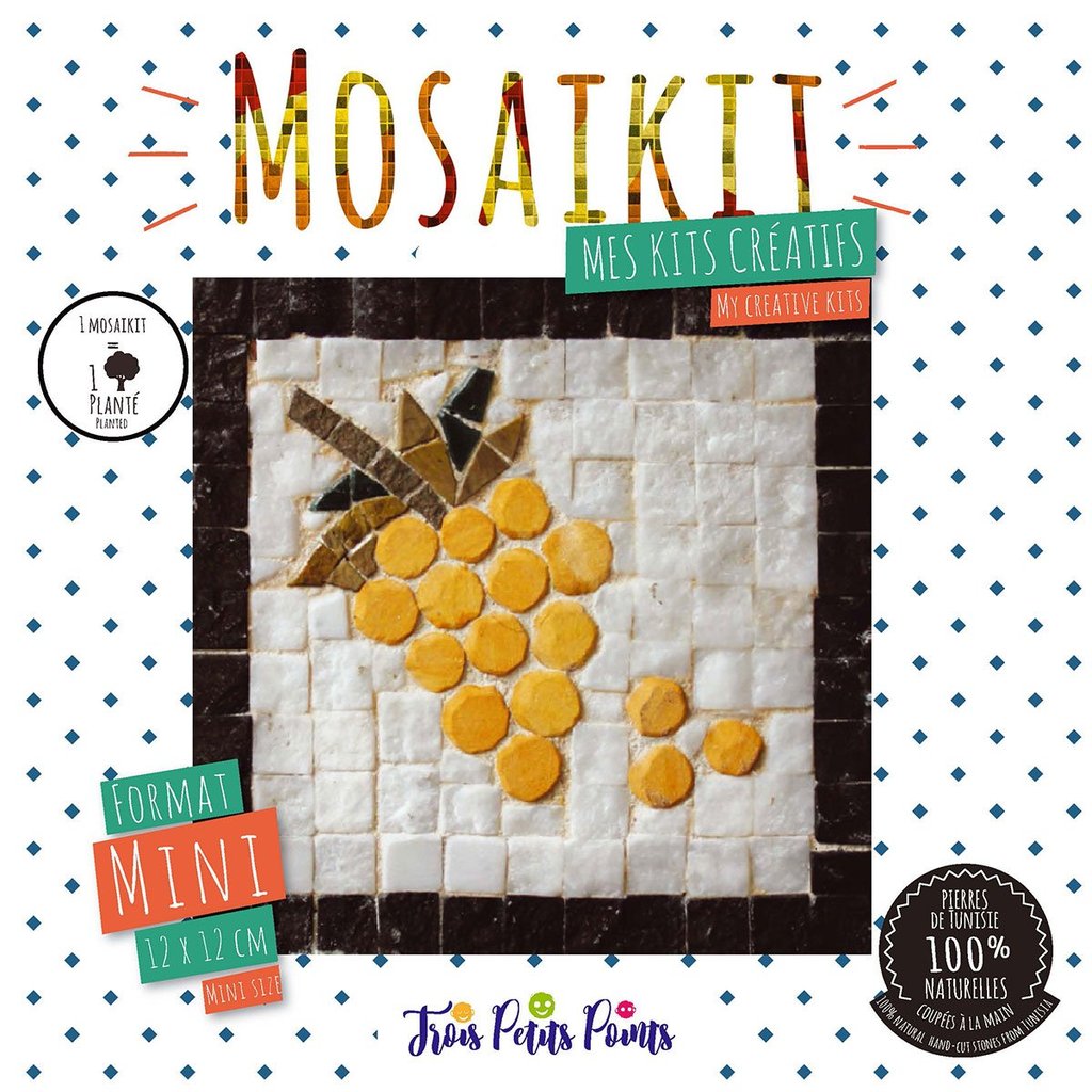 Kit mosaïque mini - Raisin - 12 x 12 cm - Kits Mosaïque - Mosaïque ...