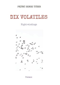 DIX VOLATILES - Night windings- Ebook Poésie - Ebook littérature | Cultura