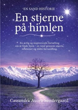 En stjerne på himlen - En ærlig og inspirerende fortælling om at finde ...