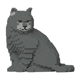 Chat British Shorthair gris assis | JEKCA | 14 ans et +- Jeux de ...
