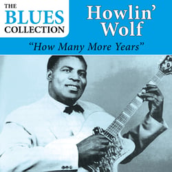 How Many More Years - CD | Cultura