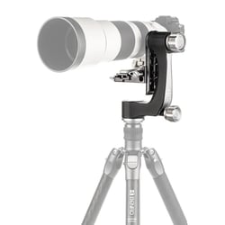 BENRO Rotule pendulaire GH2N | Cultura