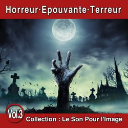 Le Son Pour l'Image Vol. 3 : Horreur - Epouvante - Terreur - CD | Cultura