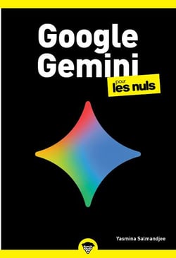 Google Gemini poche pour les Nuls : Yasmina Lecomte- Livre Photographie ...