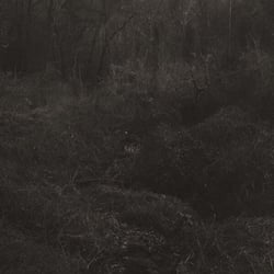 Transient- Vinyles electro | Cultura