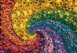 Puzzle 1000 pièces - Colorboom Collection | Cultura