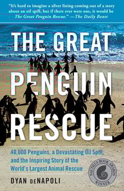 The Great Penguin Rescue - 40,000 Penguins, a Devastating Oil Spill ...