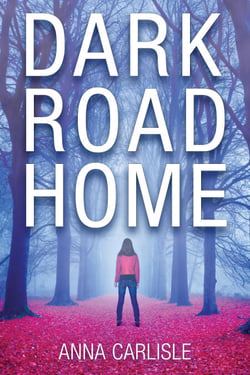 Dark Road Home - A Gin Sullivan Mystery | Cultura