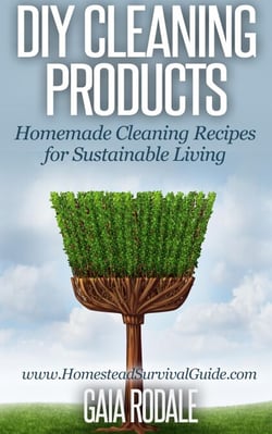 DIY Cleaning Products: Homemade Cleaning Recipes for Sustainable Living ...