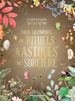 Mon Grimoire de rituels et astuces de sorcière : Amandine Faus - 9782385780913 - Ebook ...