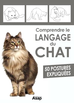 Comprendre le langage du chat - 50 postures expliquées - Ebook Vie de ...