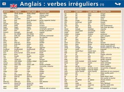 Mini poster le petit Nicolas Tome 15 : anglais: verbes irréguliers ...