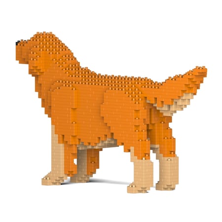 Chien Golden Retriever la queue en l'air pattes sales marron Taille ...