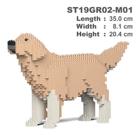 Chien Golden Retriever la queue en l'air pattes sales beige Taille ...