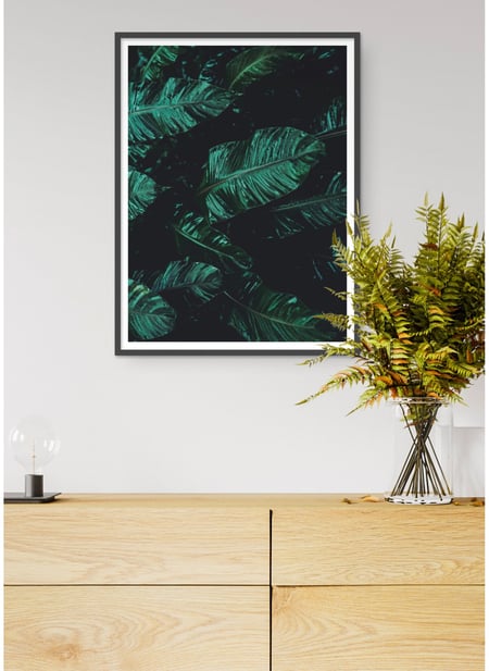 Poster Nature feuille de palmier de banane | A3 : 29,7x42cm- Imagerie ...