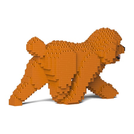 Chien Caniche Nain qui marche roux Taille standard | JEKCA | 14 ans et ...