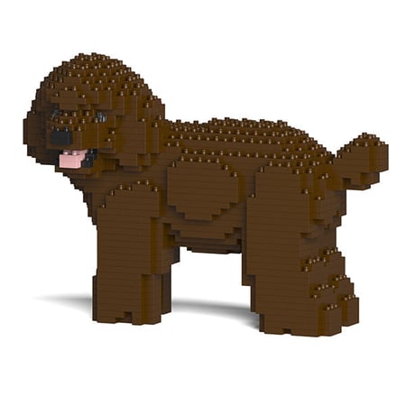 Chien Caniche Nain qui tourne la tête marron Taille standard | JEKCA ...