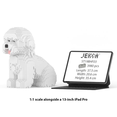 Chien Bichon à poil frisé assis Taille standard | JEKCA | 14 ans et ...