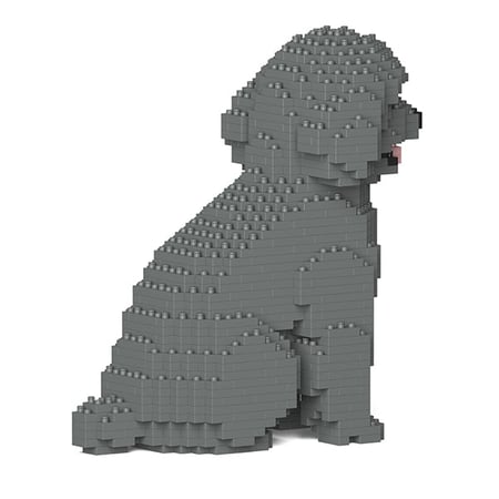Chien Caniche Nain assis gris Taille standard | JEKCA | 14 ans et ...