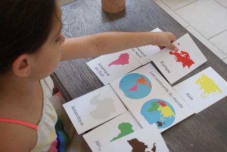 Animaux du monde Montessori- Jeux pour découvrir le monde - Jeux ...