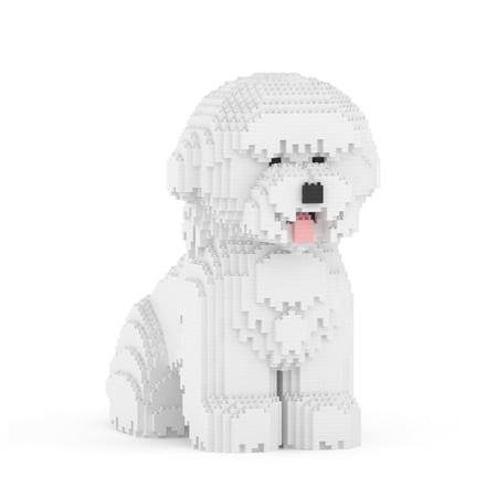 Chien Bichon à poil frisé assis Taille standard | JEKCA | 14 ans et ...