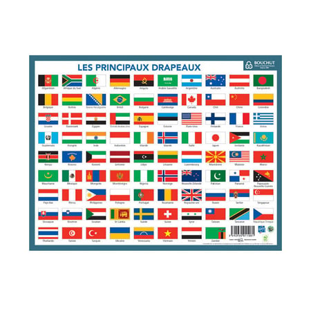 Fiche mémo - Carte du monde et drapeaux - 2 faces - 20,5x26,5cm ...