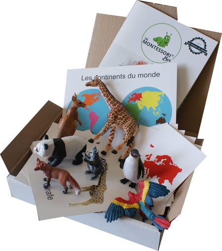 Animaux du monde Montessori- Jeux pour découvrir le monde - Jeux ...
