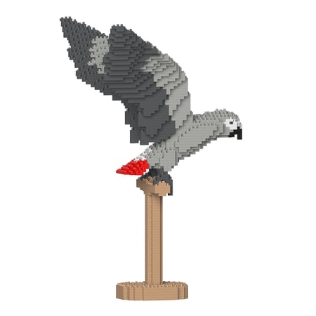 Perroquet Gris du Gabon ailes déployées | JEKCA | 14 ans et +- Jeux de ...