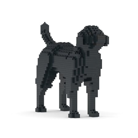 Chien Labrador Retriever noir Taille standard | JEKCA | 14 ans et ...