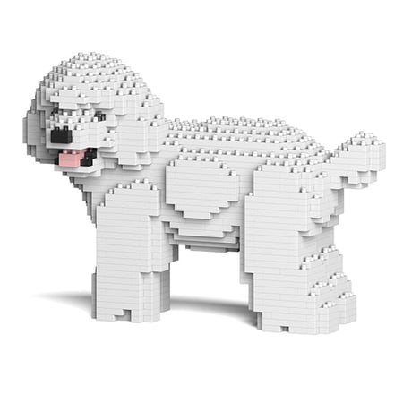 Chien Caniche Nain qui tourne la tête blanc Taille standard | JEKCA ...